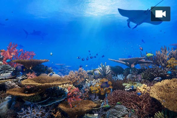 Stock Footage, Stock Videos, 4K Videos, Royalty-Free Clips | Getty Images